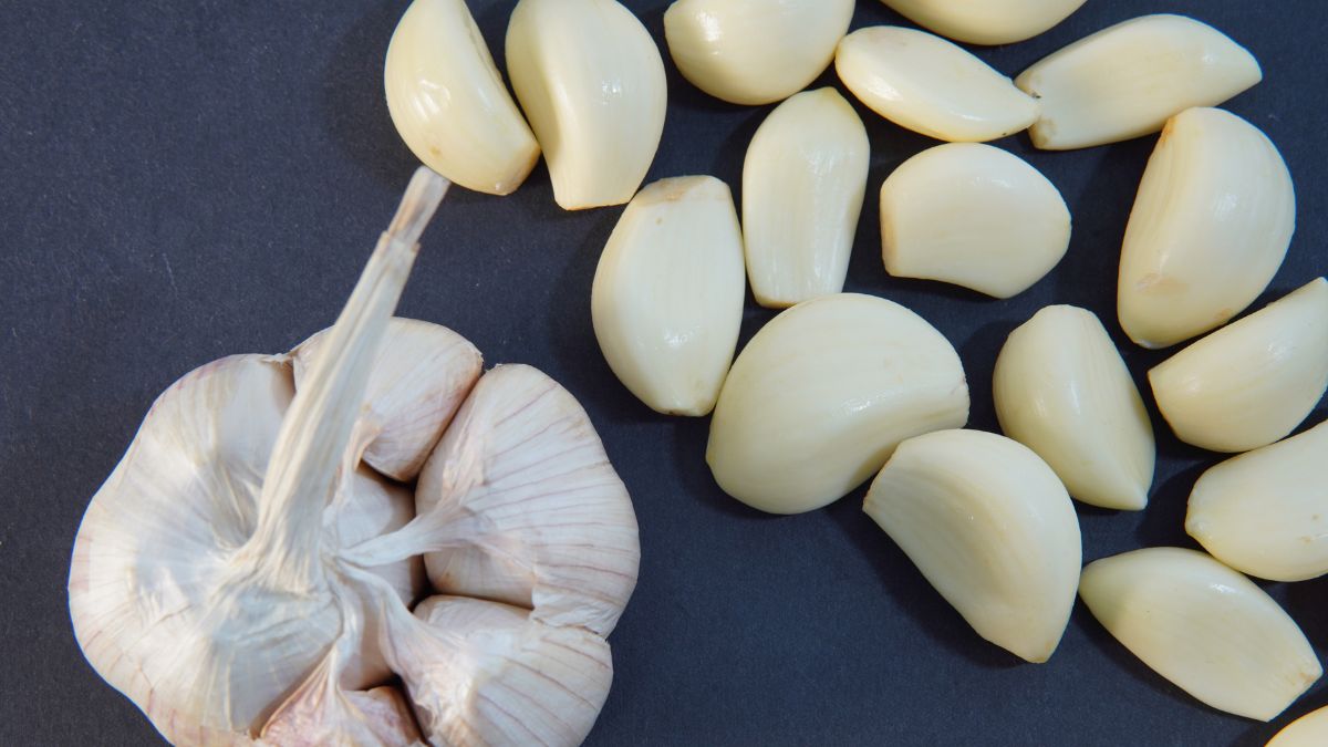 Which City Is Known as Garlic Capital of the World?