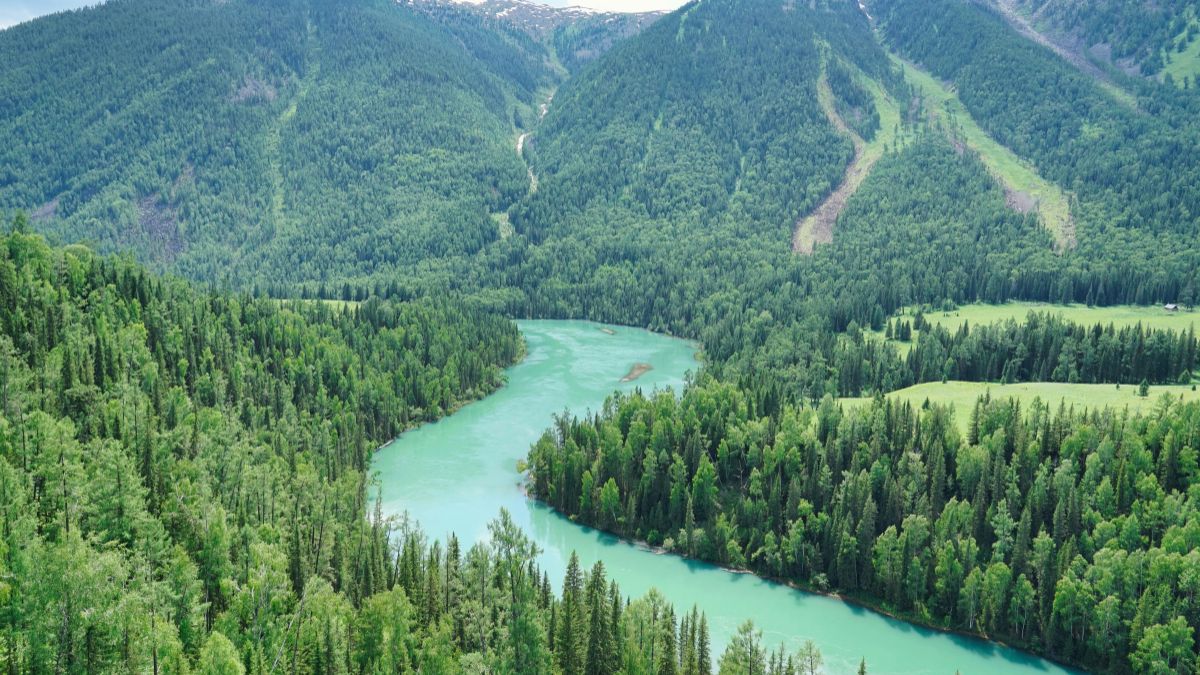 Which is the Deepest River Valley in India?