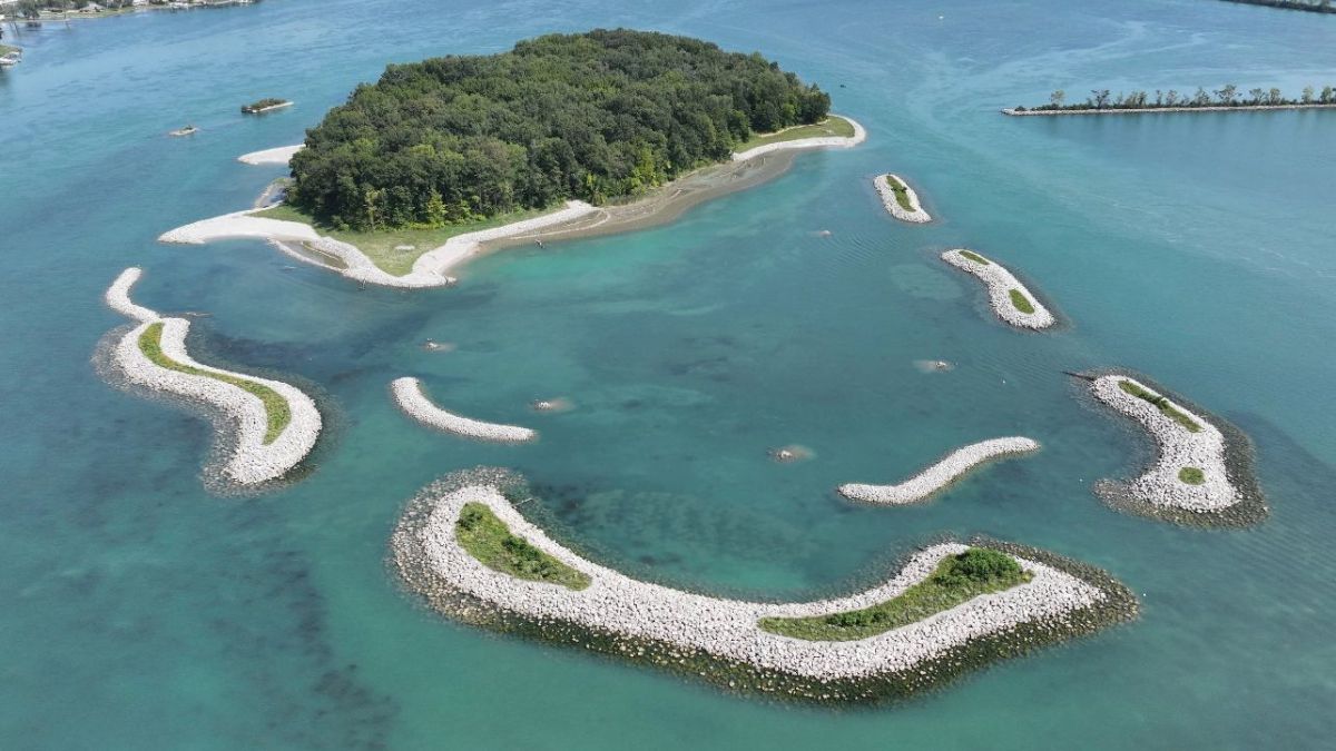 Which River Forms the Largest River Island in the World?