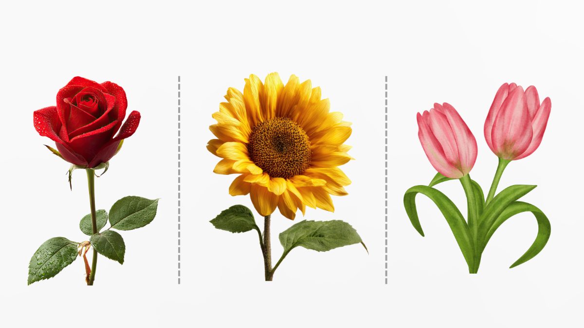 Personality Test: Pick a Flower to Reveal Your Attachment Style