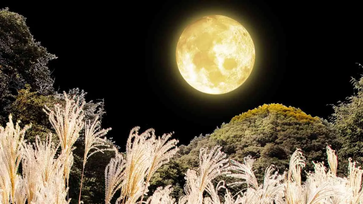 Flower Moon 2026: Date, Time, Visibility and How to Watch?