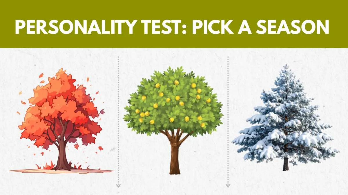 Personality Test: Pick a Season to Discover Your Comfort Zone