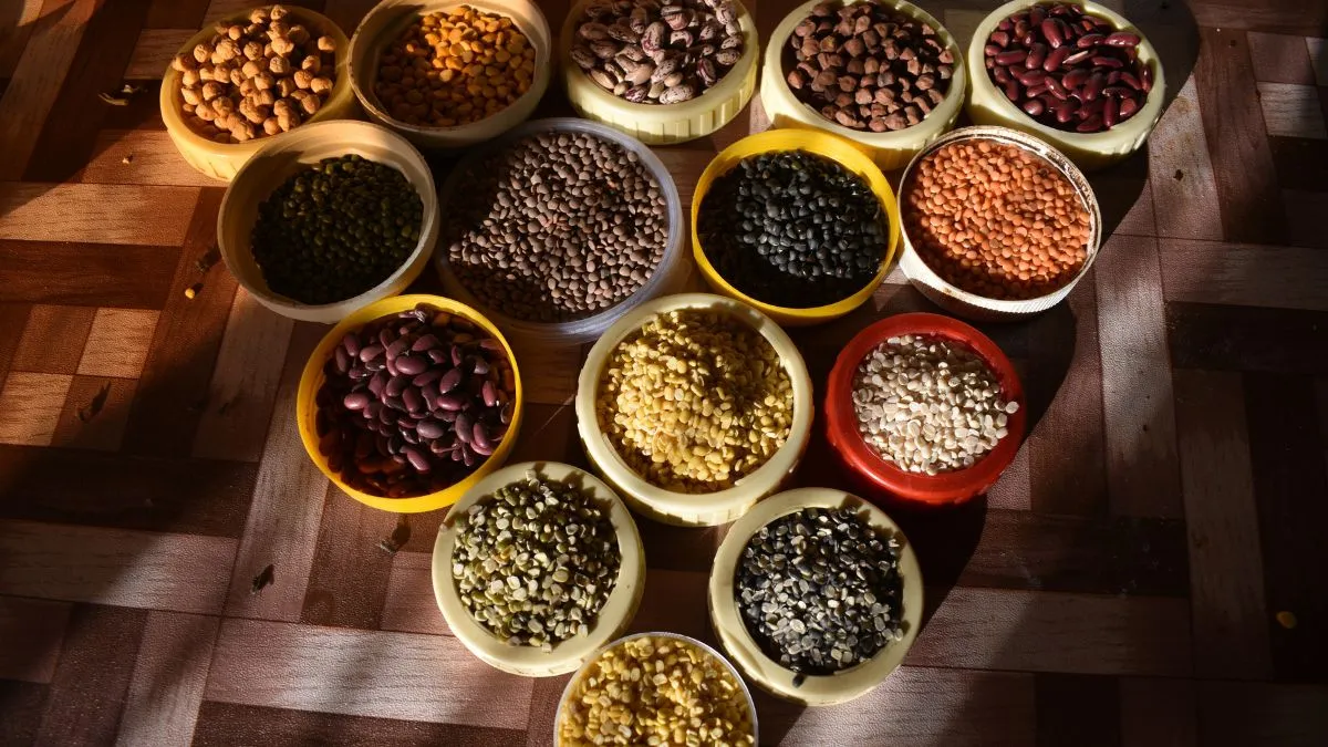 What Is Dal Called in English?