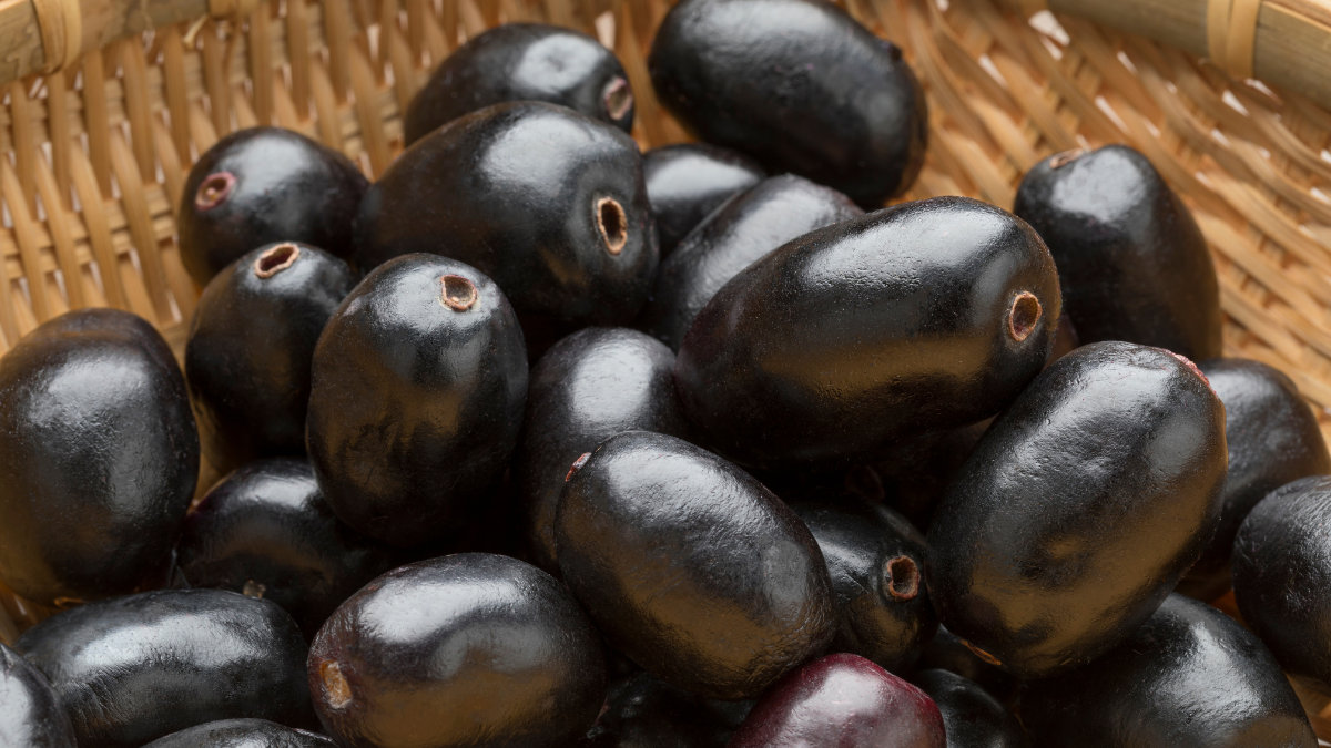 What is Jamun in English?