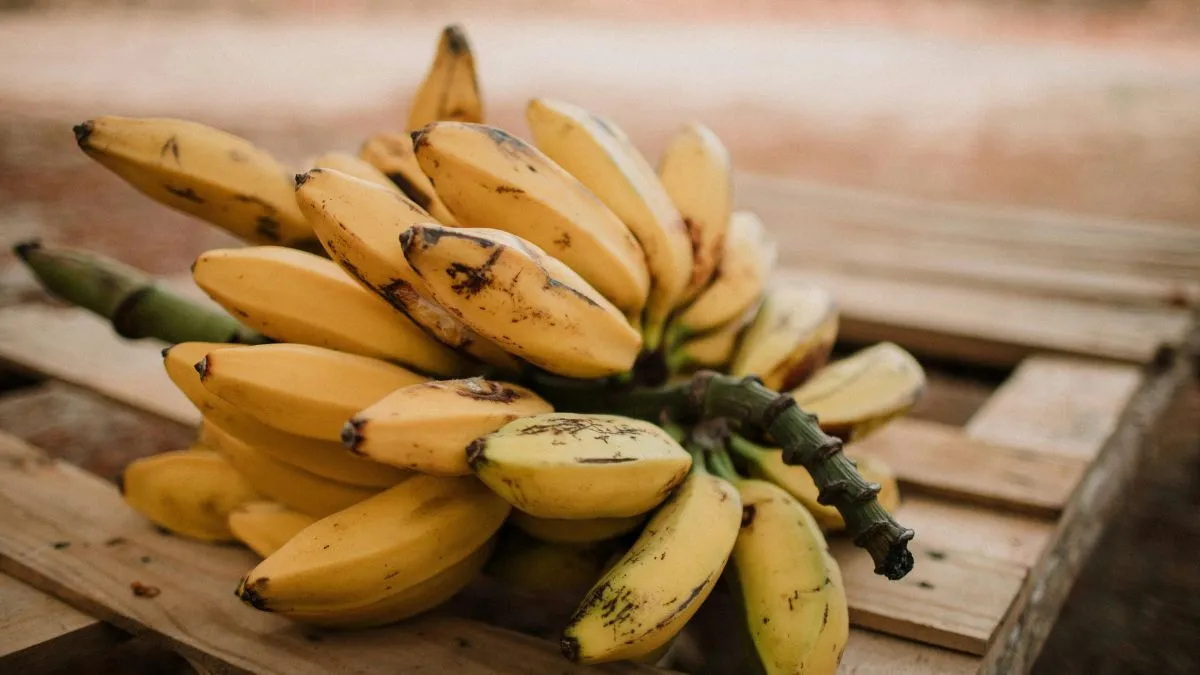 Which Place Is Known as the Banana Capital of the World?