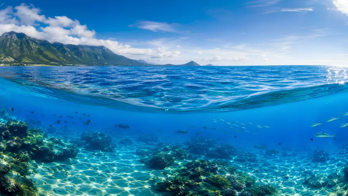 Which is the Cleanest Ocean in the World?