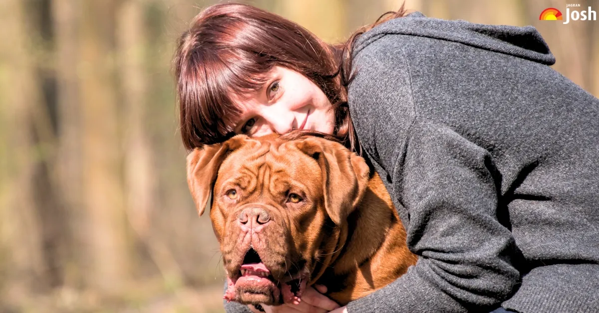 Which Animal Is Known As Man's Best Friend?