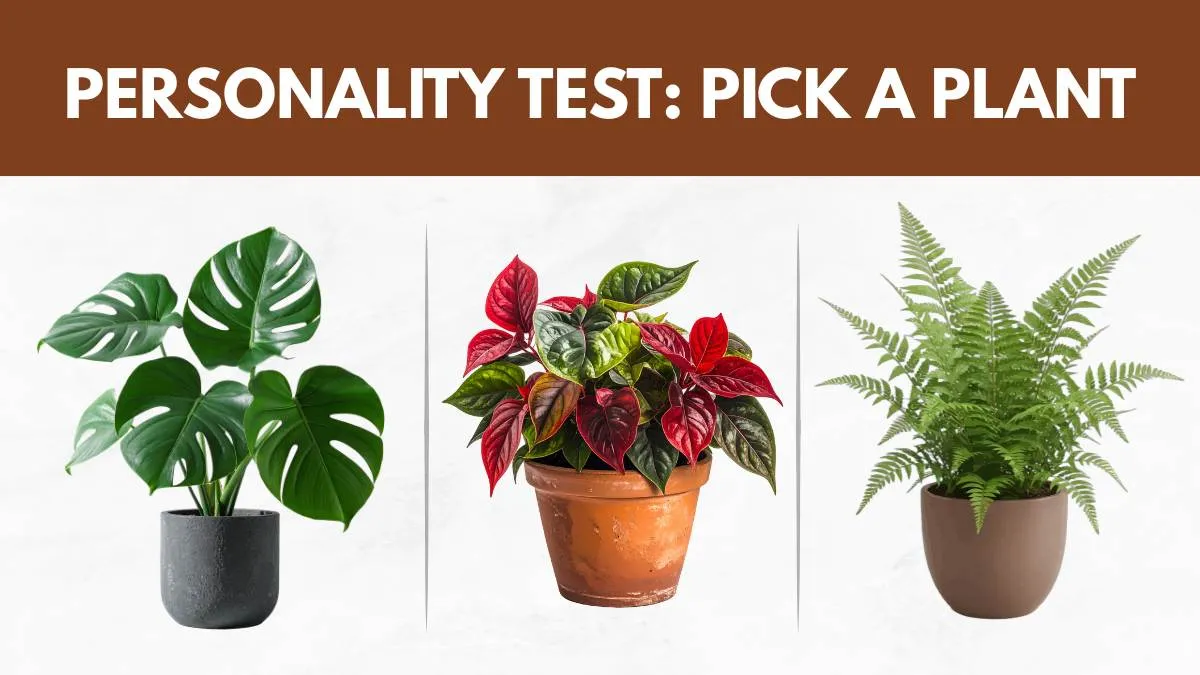 Personality Test: Pick a Plant to Reveal Your Deepest Desire