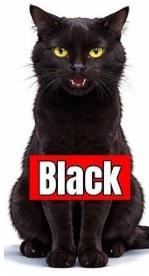 Pick A Cat To Reveal If Your Personality Is Calm, Fiery, Mysterious, or ...