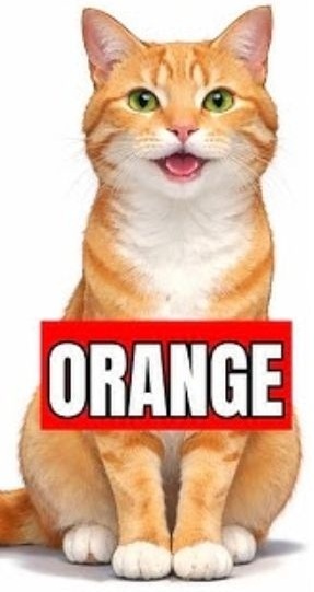 Pick A Cat To Reveal If Your Personality Is Calm, Fiery, Mysterious, or ...