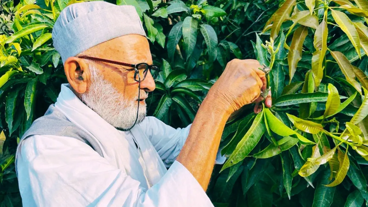 Who is the Mango Man of India?