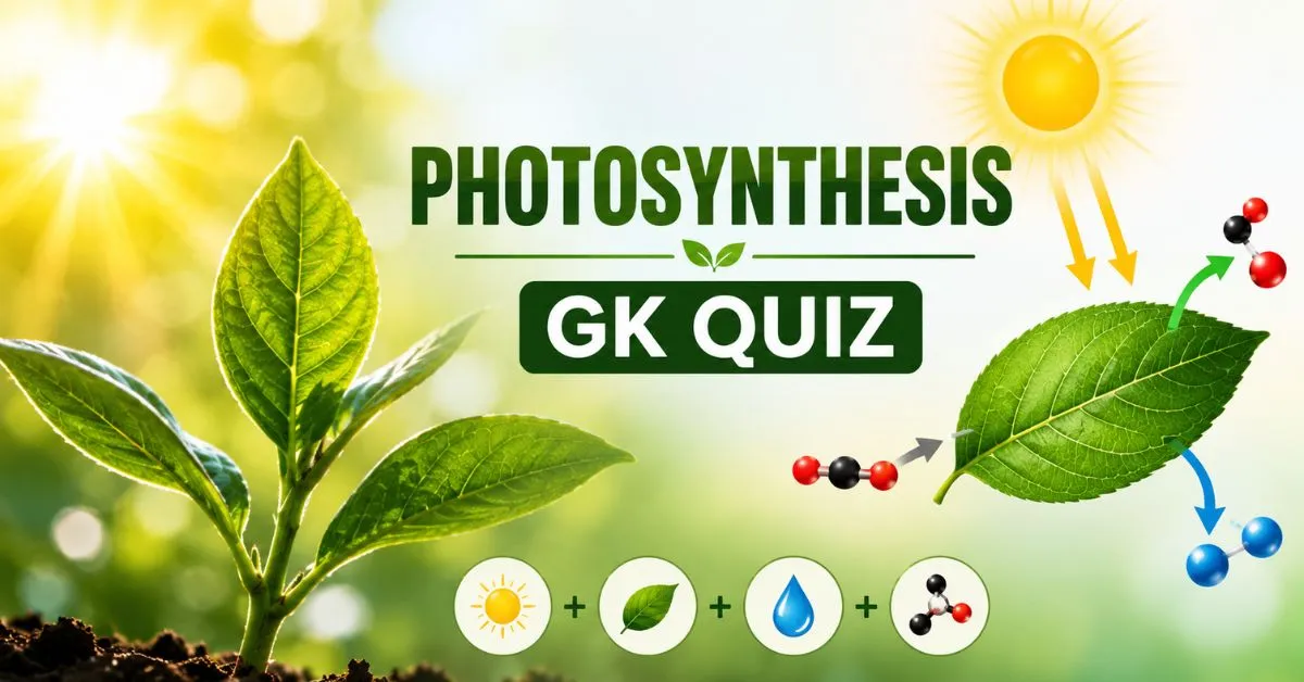GK Quiz on Photosynthesis: 20 Important Questions with Answers