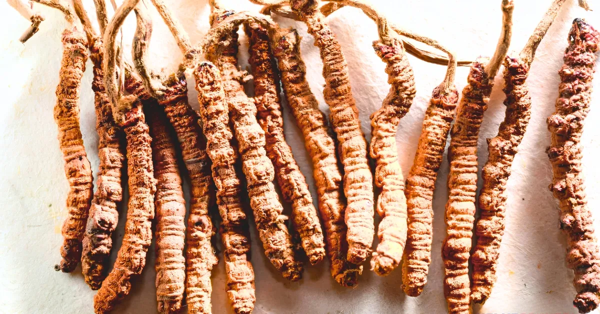 Meet the $150,000-a-Kilo Fungus That Turns Caterpillars Into Zombies ...