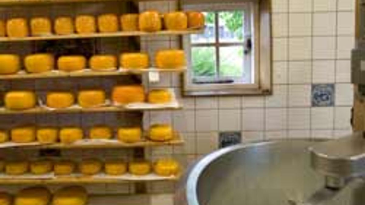 Career in Food Technology