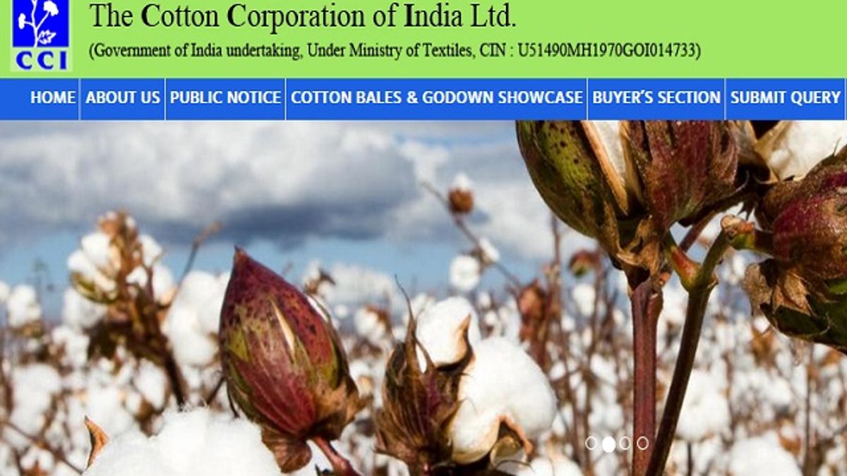 Hindi -Cotton Corporation of India (CCI) Recruitment 2020: Walk in for ...