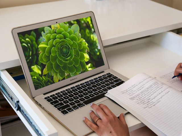 Free Online Botany Courses for Botanists and Students