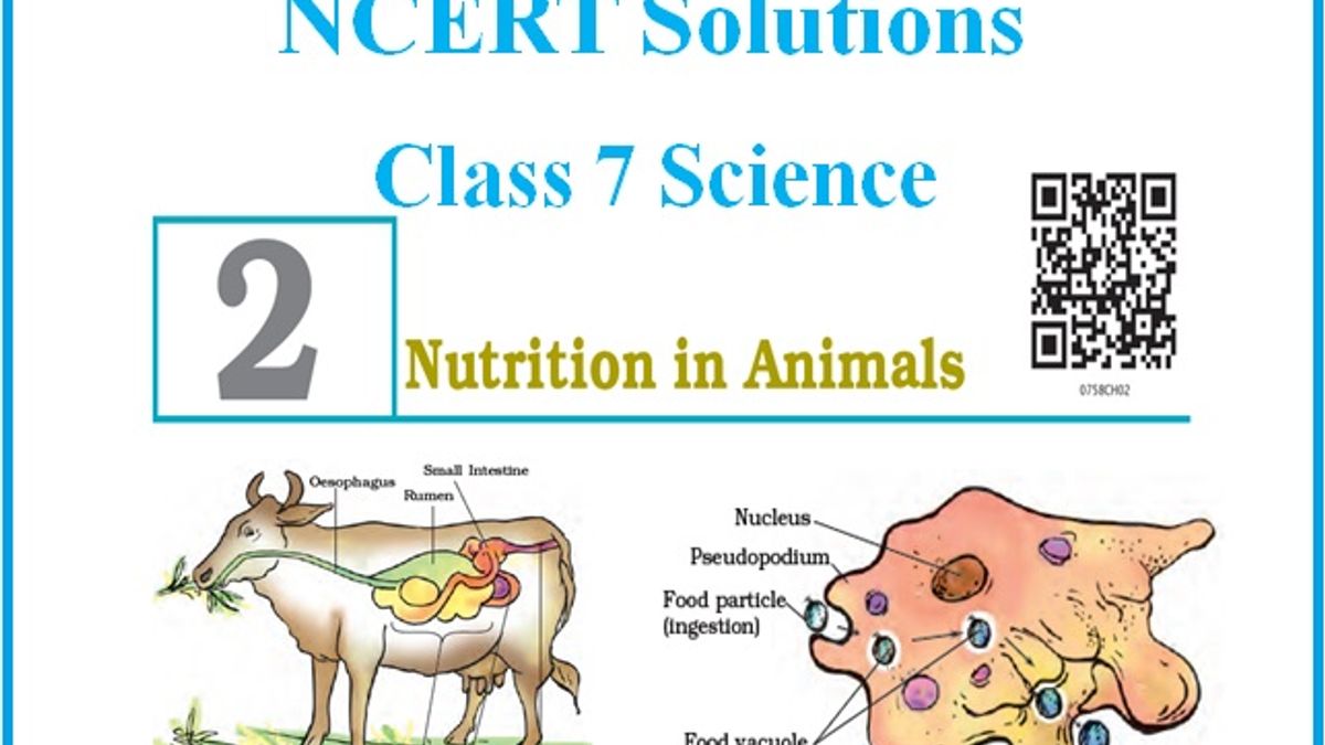 NCERT Solutions For CBSE Class 7 Science Chapter 2 Nutrition In Animals
