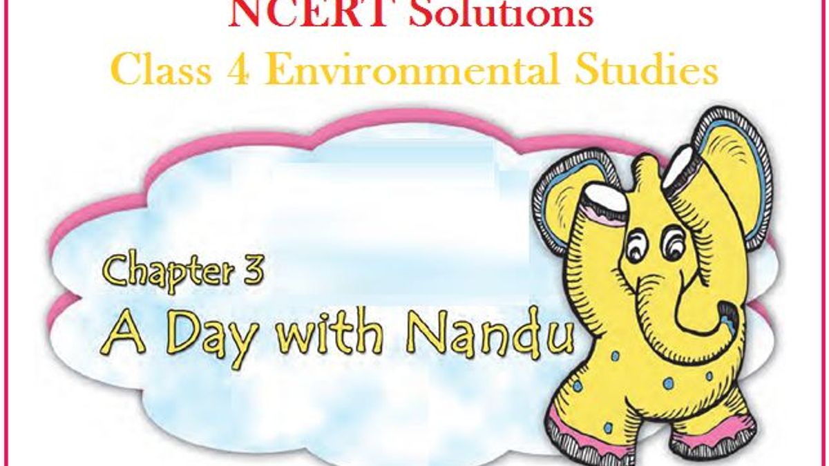 NCERT Solutions For Class 4 EVS Chapter 3 A Day With Nandu