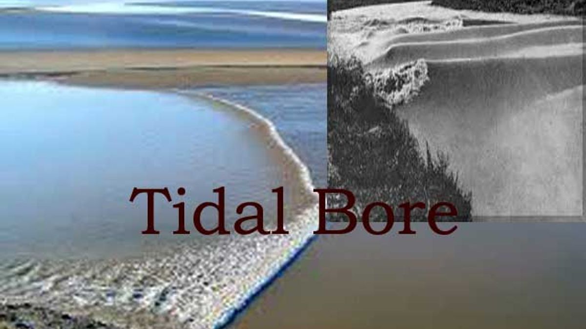 What Is A Tidal Bore What Is A Tidal Bore