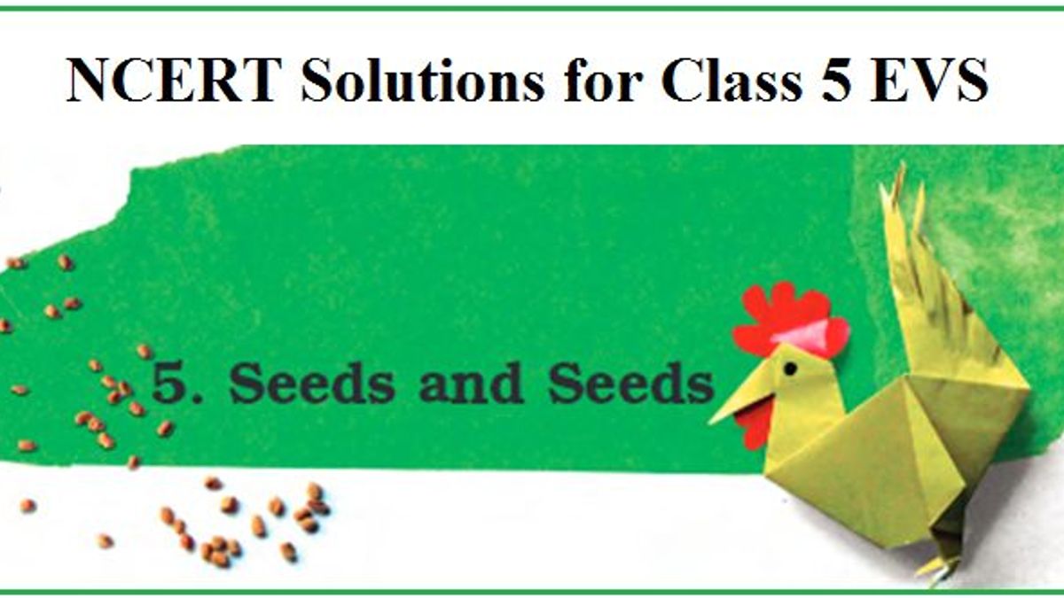 NCERT Class 5 Solutions EVS Chapter 5 Seeds And Seeds