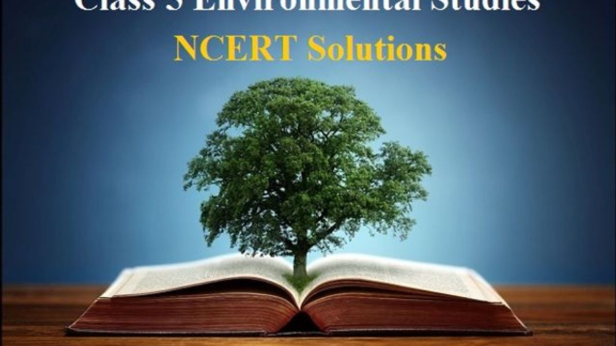 NCERT Solutions For Class 5 EVS PDF Best For Annual Exam Preparations