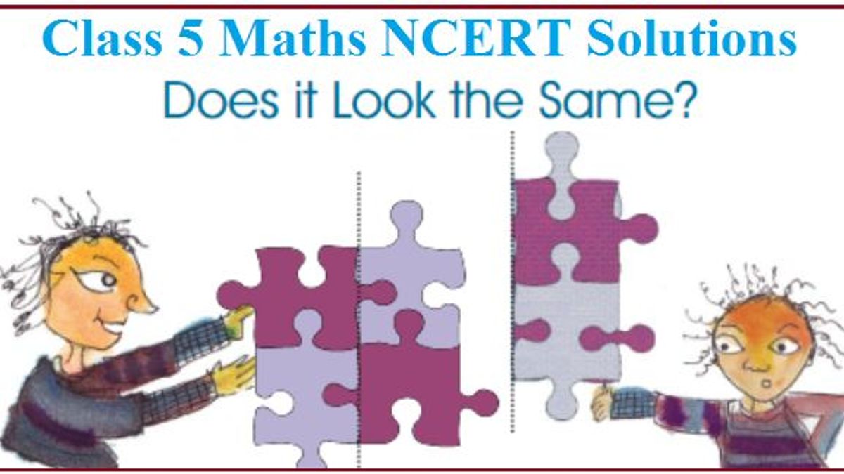 NCERT Solutions For Class 5 Maths Chapter 5 Does It Look The Same Free PDF