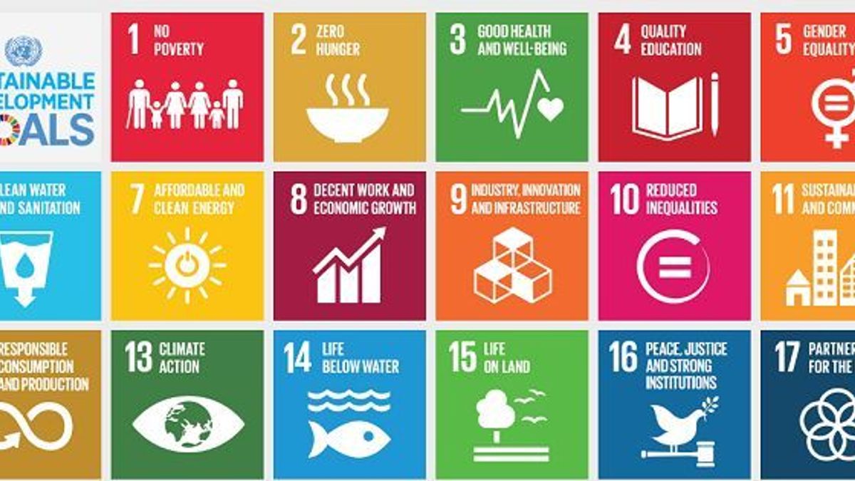 The Global Goals Sustainable Development Goals SDGs 54 OFF