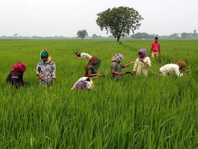 Union Cabinet approves Agriculture Infrastructure Fund Union Cabinet approves Agriculture Infrastructure Fund
