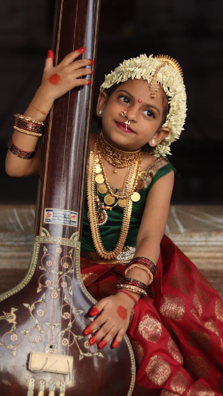 Veena Is The National Instrument Of India Veena Is A