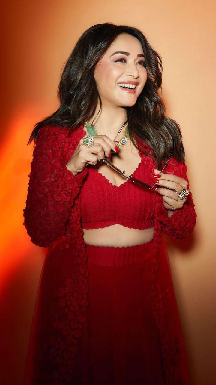 Check Madhuri Dixit’s Impressive Success Story Check Madhuri Dixit’s Impressive Success Story
